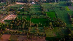 Mims Mandya - Mandya's Spirit